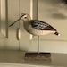 Wilson’s Snipe Decoy - Etsy