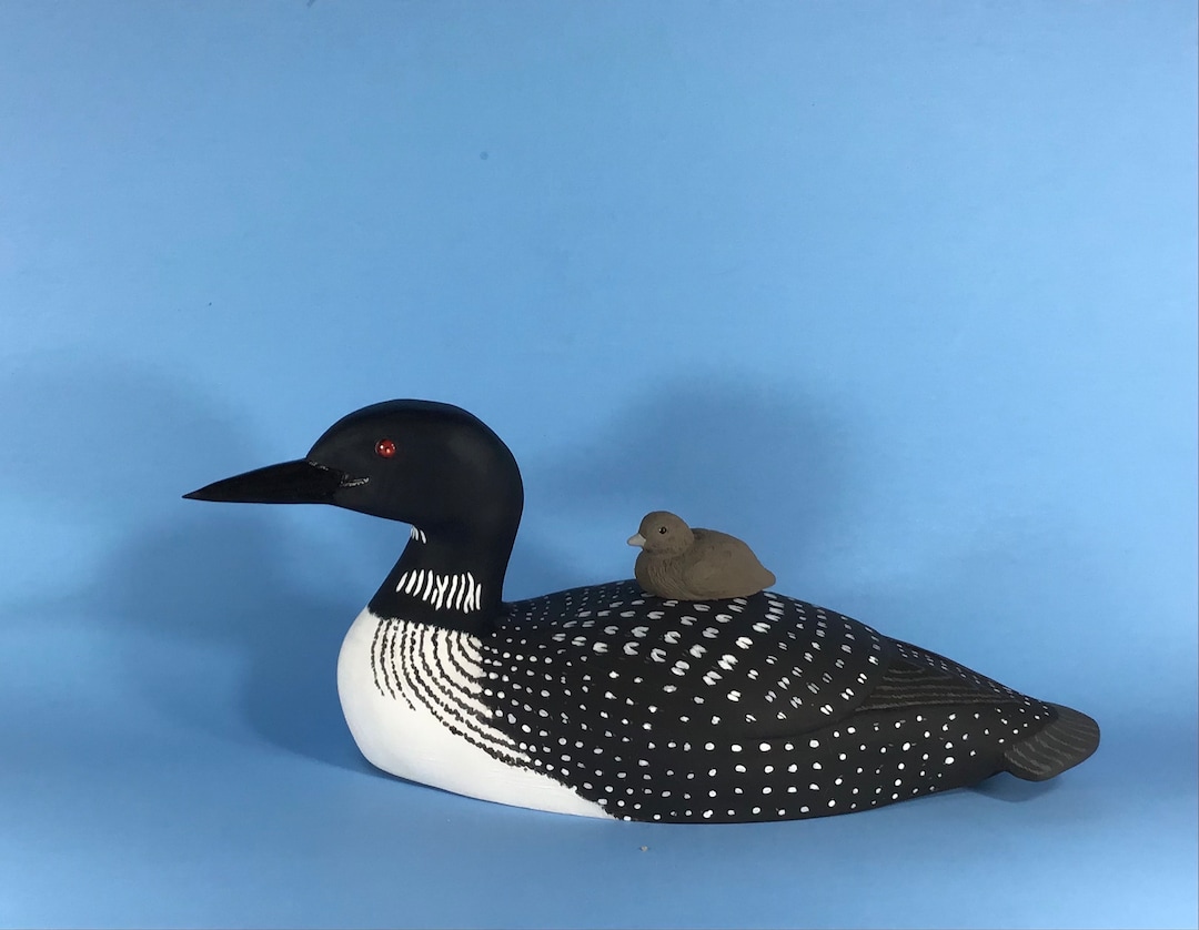 Common Loon - Etsy
