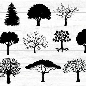 Tree SVG Bundle, Family SVG Bundle, Tree Cut File, Tree Clipart, Tree ...
