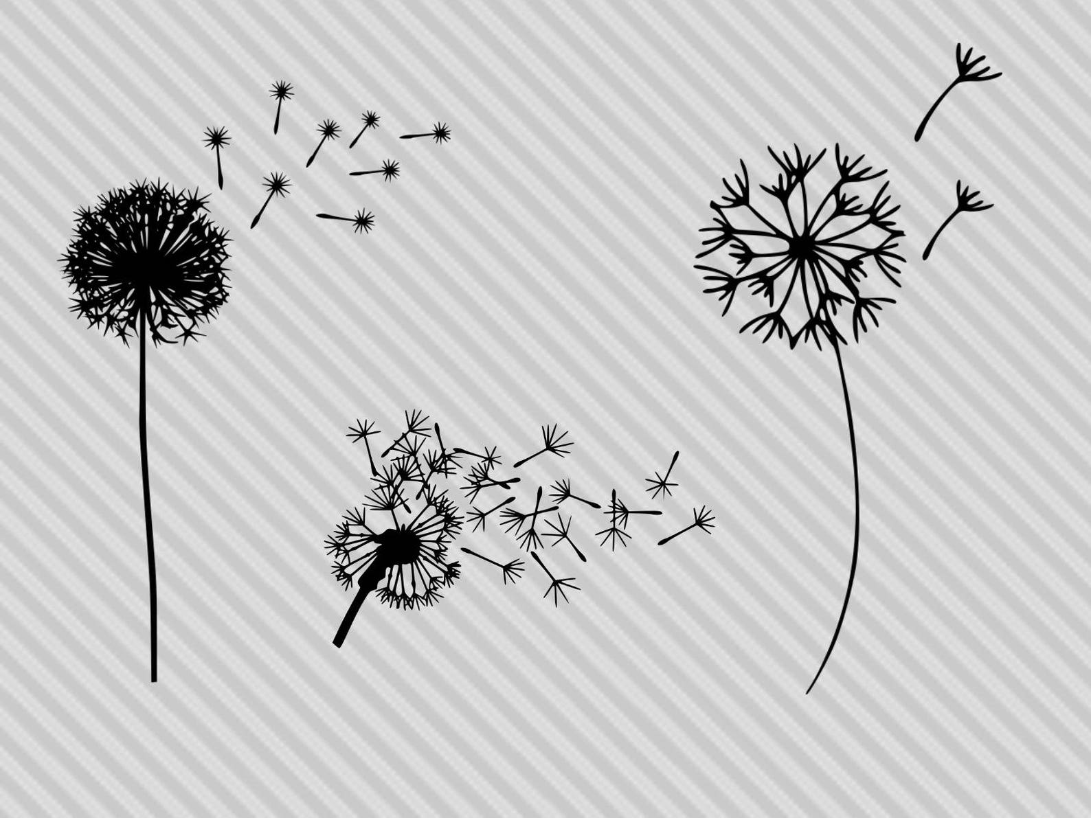 Dandelion Svg Bundle, Dandelion Silhouette Svg, Dandelion Clipart, Dxf ...