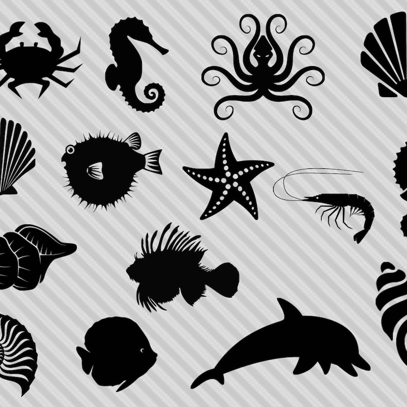 Ocean Animals Svg - Etsy