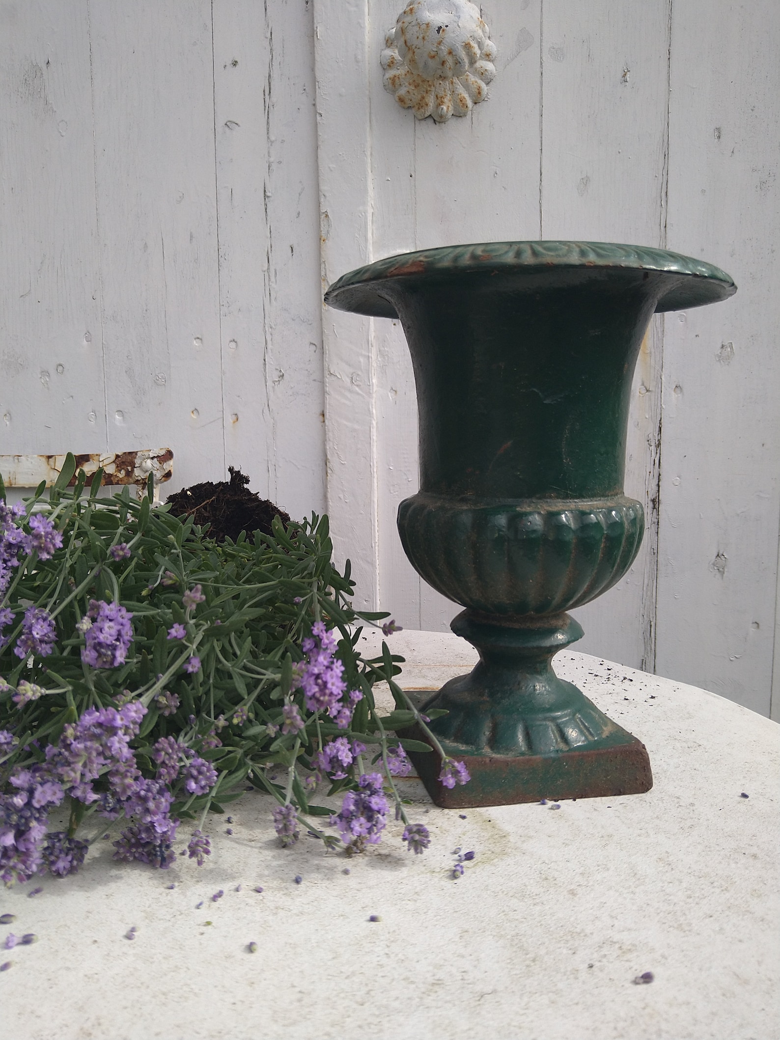 Antique French. Medici Vases, Choice, Classic Garden Urn Iron, 1st Half ...