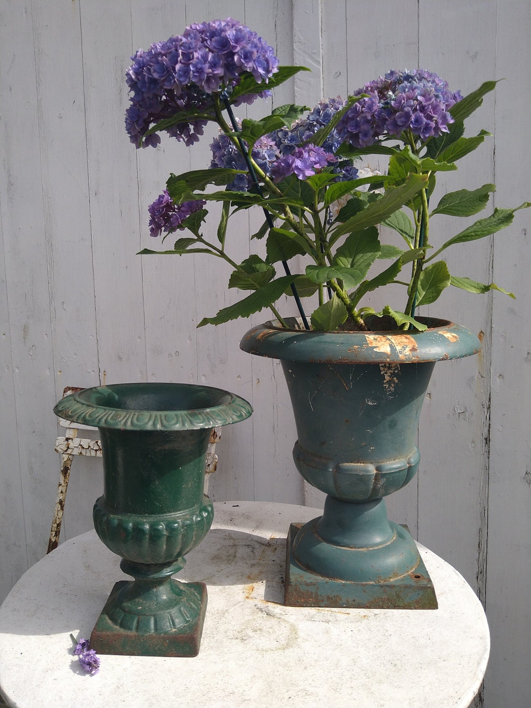 Antique French. Medici Vases, Choice, Classic Garden Urn Iron, 1st Half ...