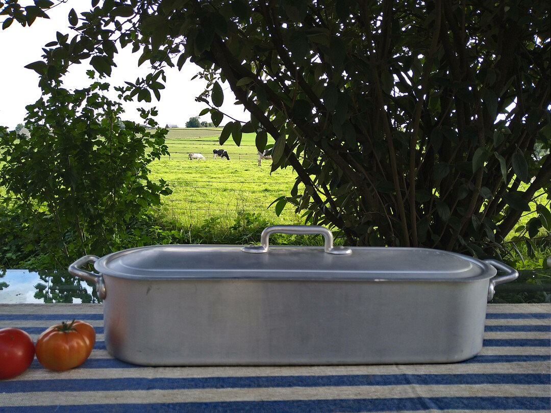Classic Fish Pot From Burgundy, France. Vintage Poissonière. Forever ...