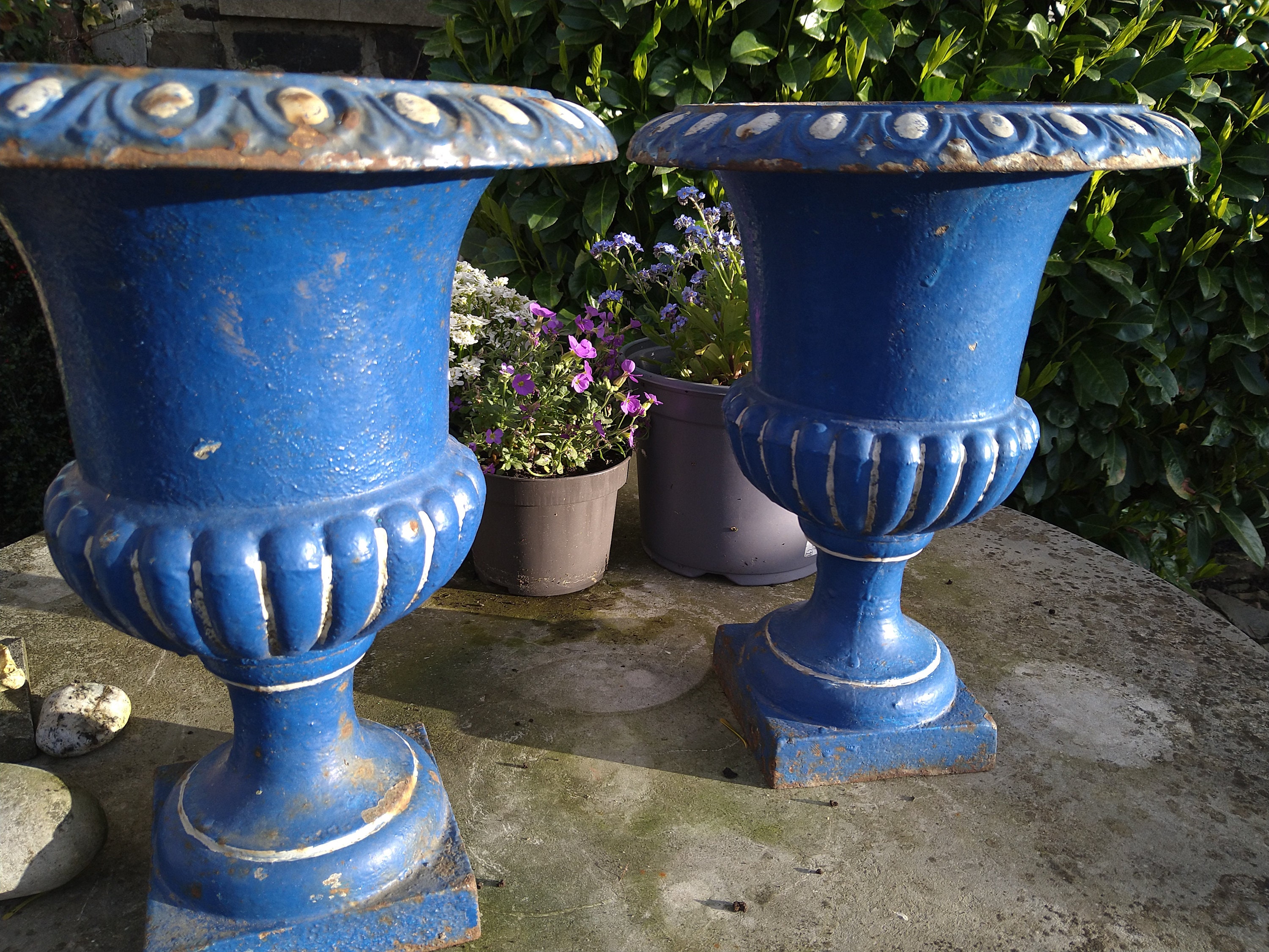 Antique French Medici Vases, Classic Iron Garden Urns, 1900, Plant Pots ...