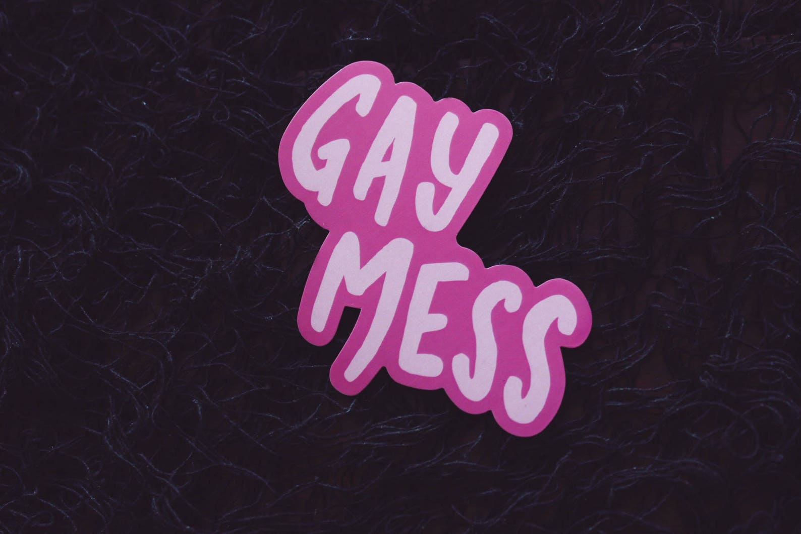 Gay Mess Sticker 4 Vinyl Sticker Queer Trans LGBTQ - Etsy