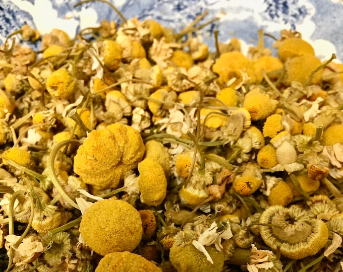 Gastro-tea - Etsy Canada