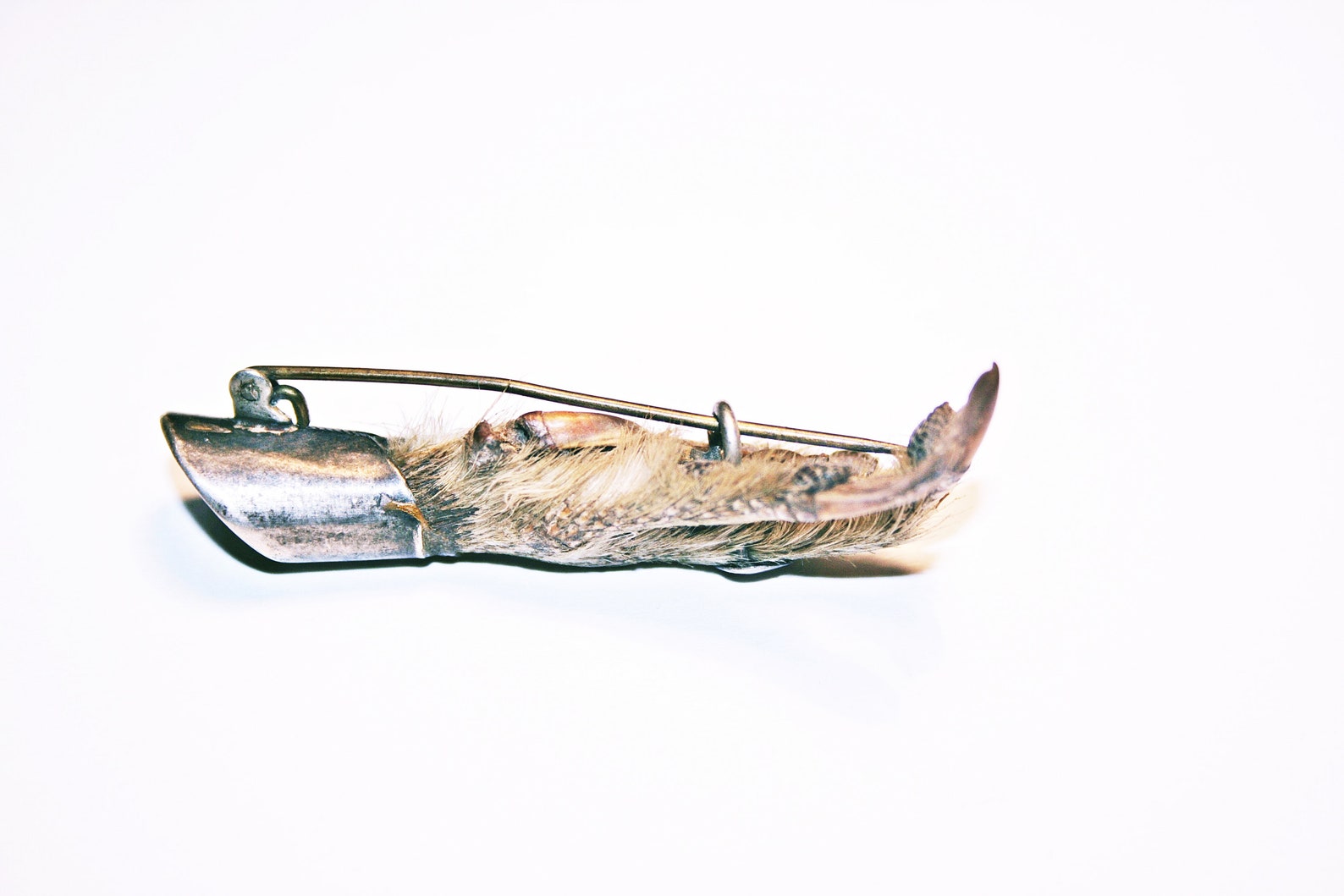 Antique Scottish Grouse Claw Kilt Pin - Etsy