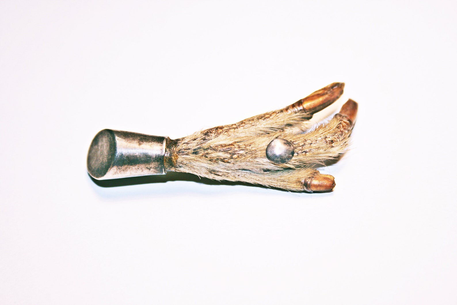 Antique Scottish Grouse Claw Kilt Pin - Etsy