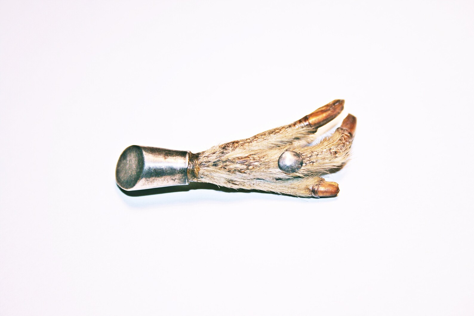Antique Scottish Grouse Claw Kilt Pin - Etsy
