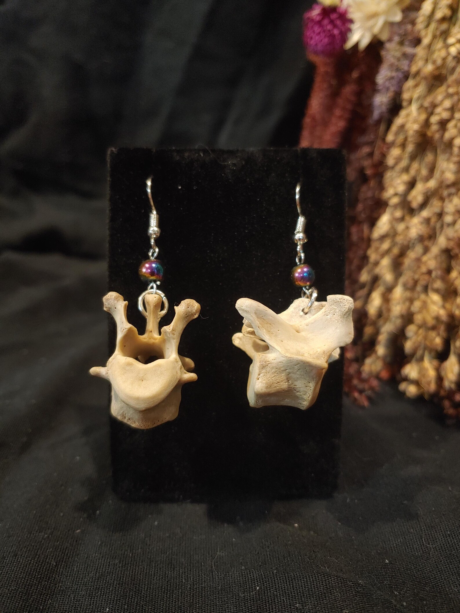 Raccoon Vertebrae Earrings Real Animal Bone Earrings Gothic Jewelry ...