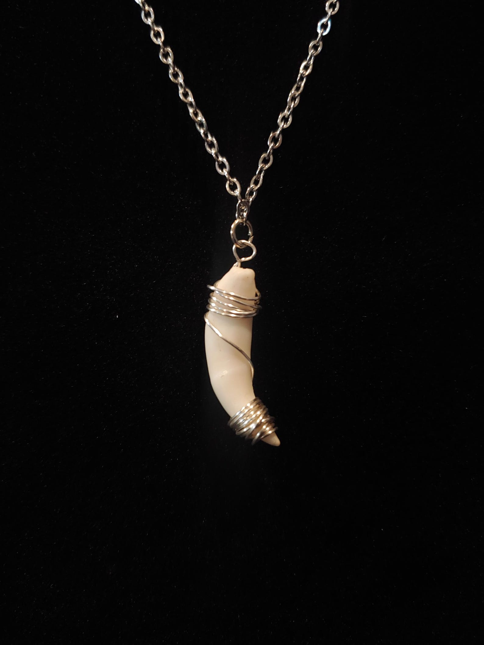 Real Animal Tooth Necklace, Silver Tone Wire Wrapped, Gothic Jewelry - Etsy