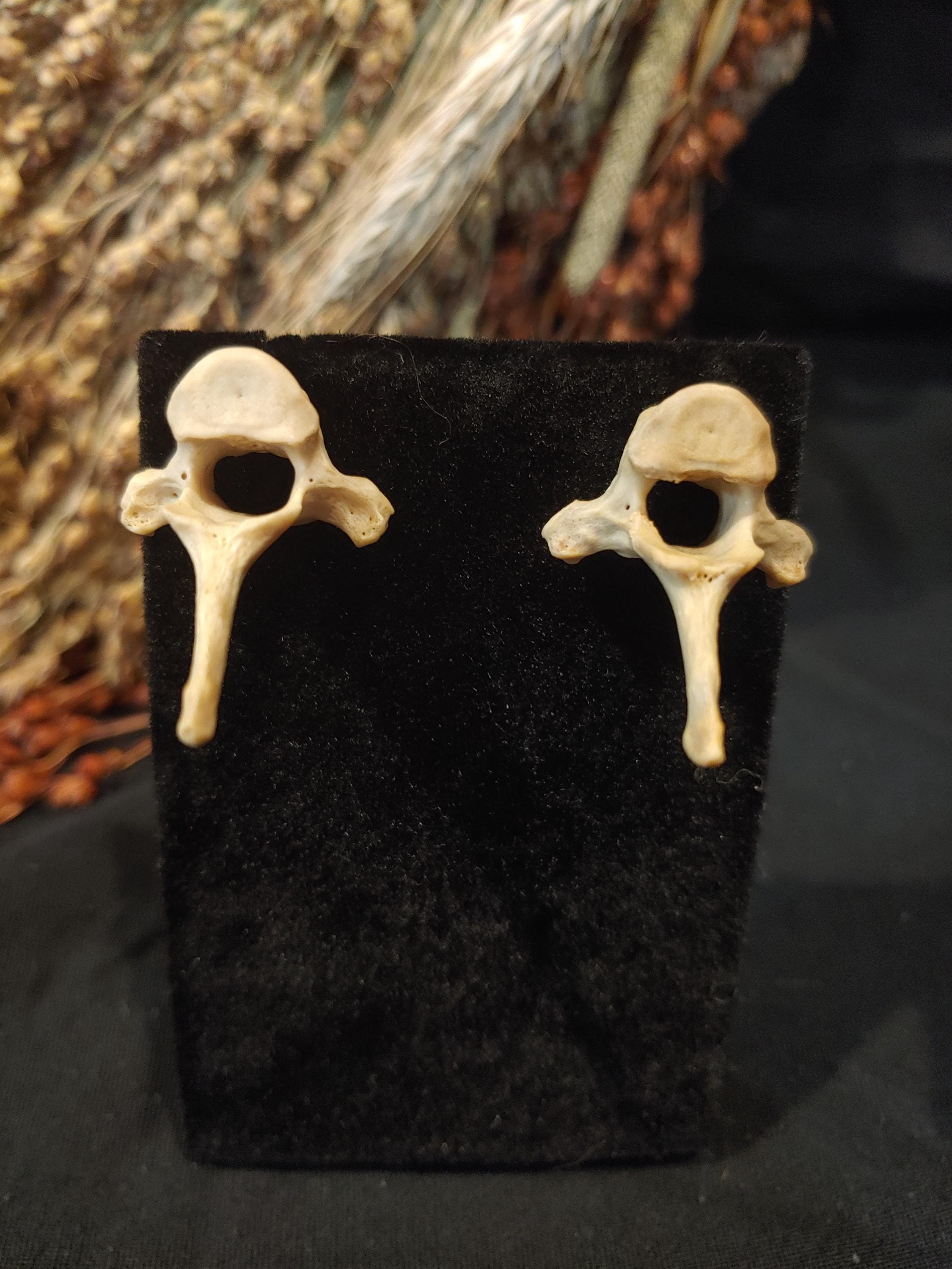 Small Animal Bone Earrings Real Animal Bone Earrings Gothic Jewelry ...