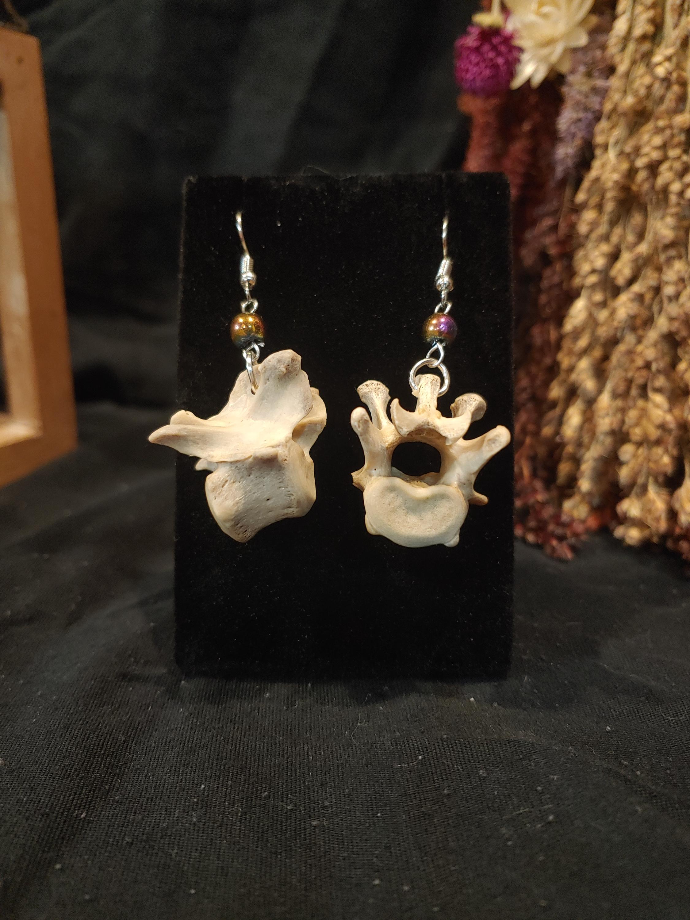 Raccoon Vertebrae Earrings Real Animal Bone Earrings Gothic Jewelry ...