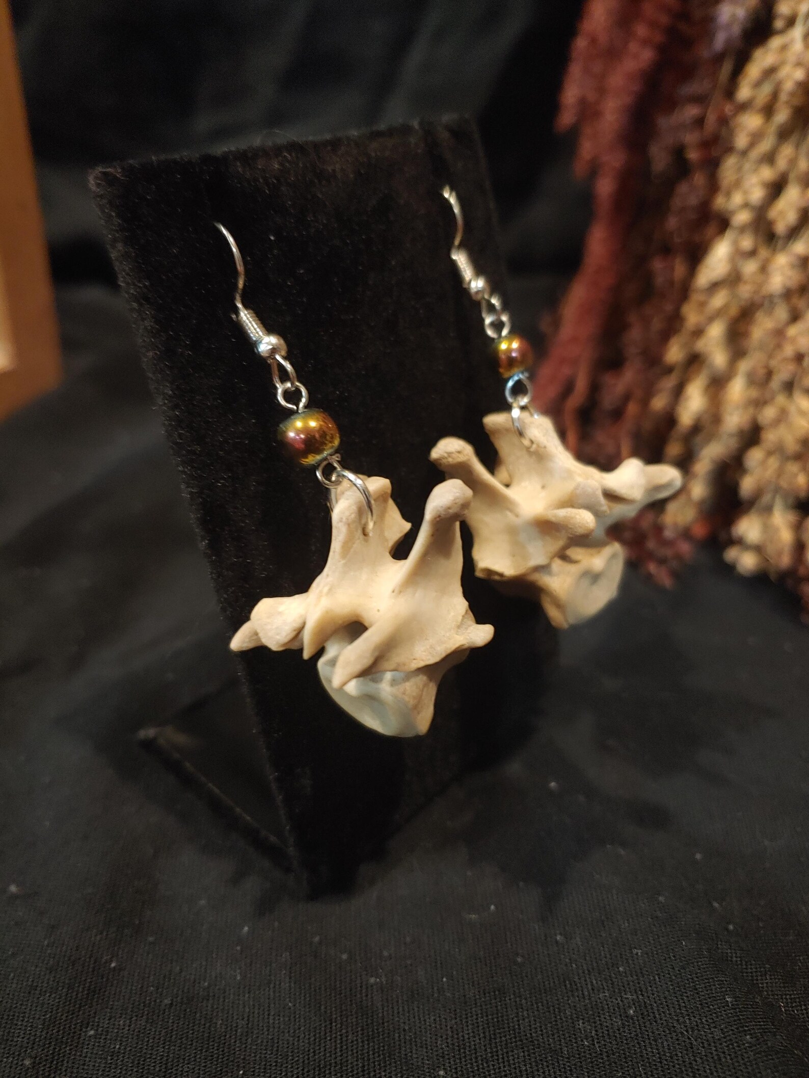 Raccoon Vertebrae Earrings Real Animal Bone Earrings Gothic Jewelry ...