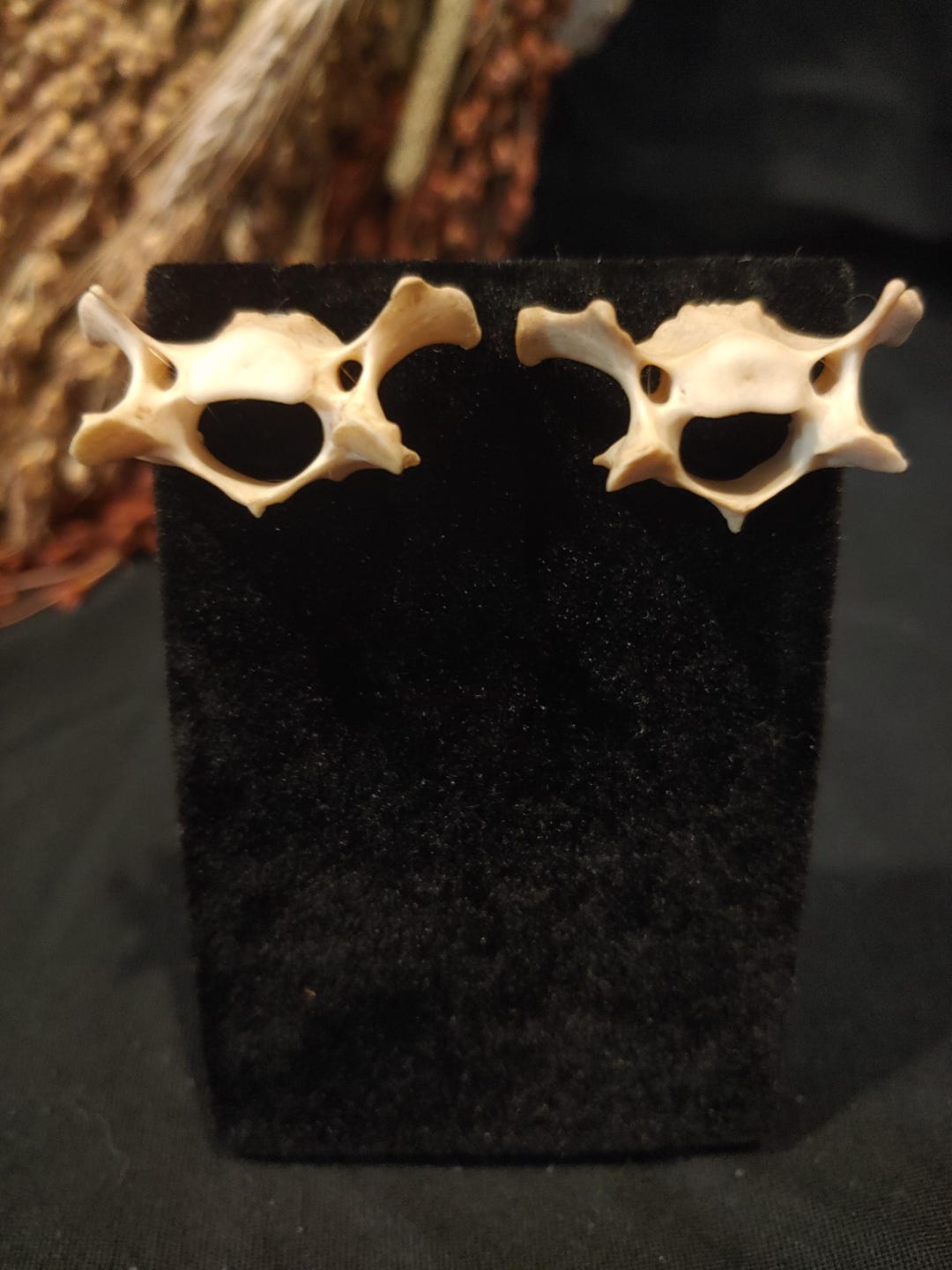 Ethically Sourced Small Animal Bone Earrings, Gothic Jewelry - Etsy