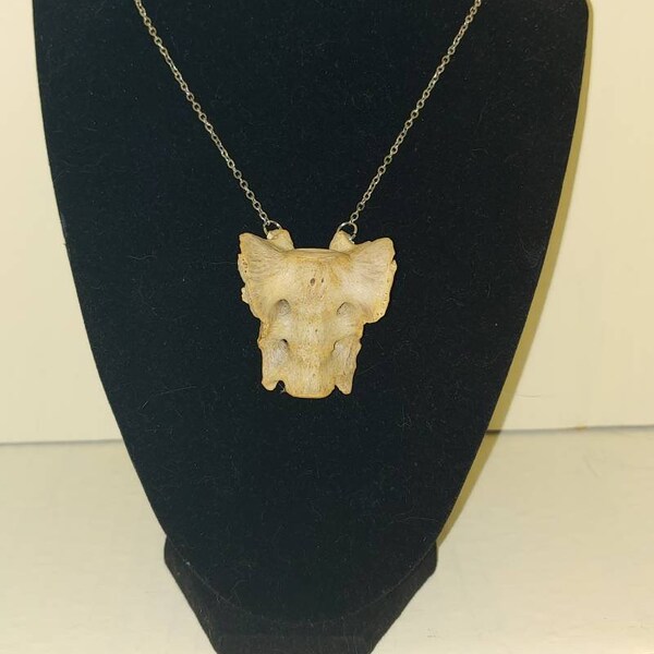 Animal Bone Jewelry - Etsy
