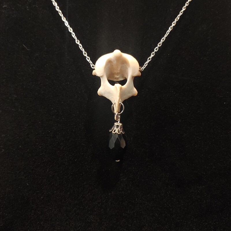 Bones Necklace - Etsy