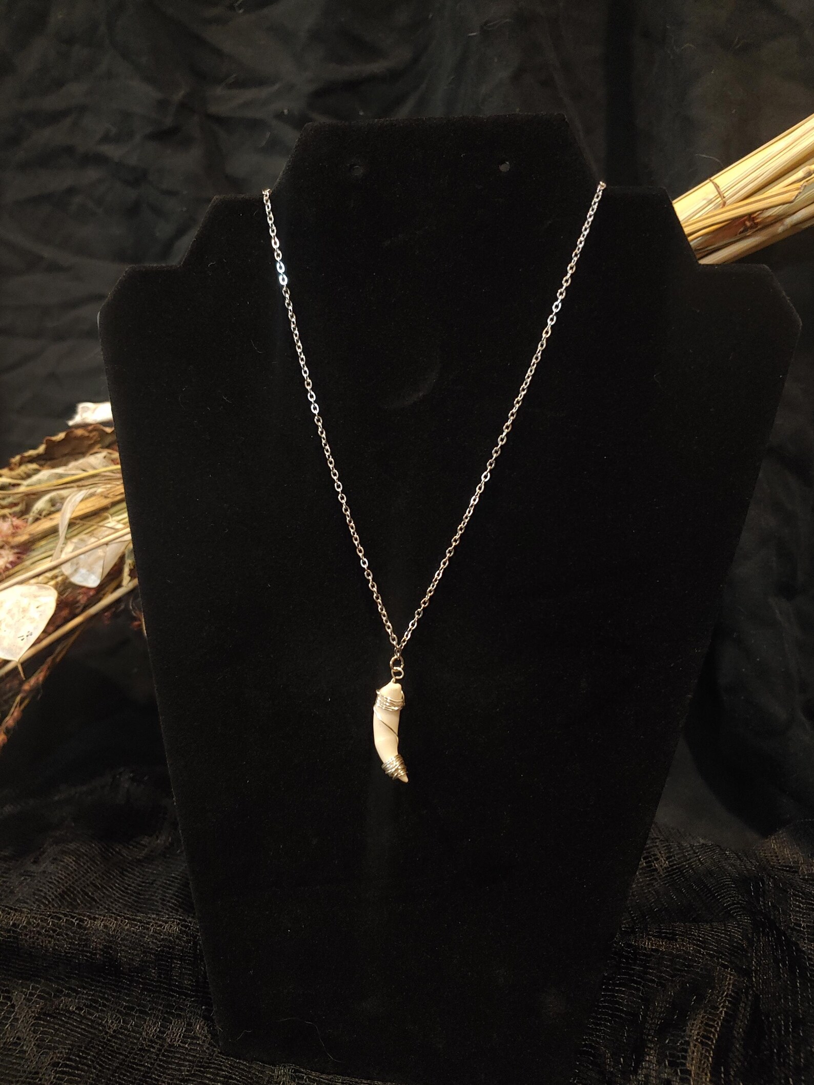 Small Animal Tooth Necklace; Real Animal Bone Earrings; Gothic Jewelry ...