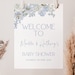 Blue Baby in Bloom Welcome Sign, Boy Baby in Bloom Baby Shower ...