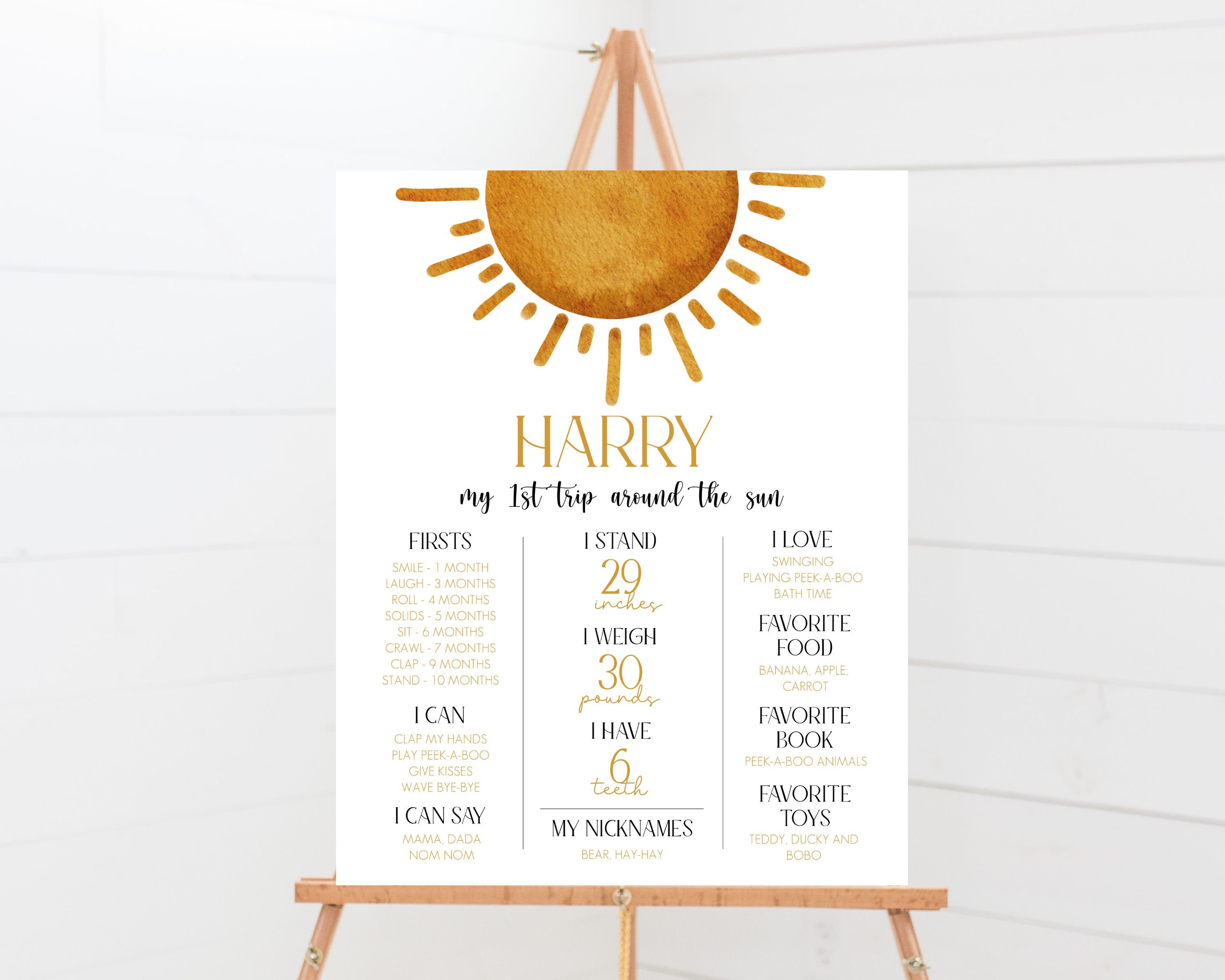 First Trip Around the Sun Bundle, Sun Birthday Bundle, Sun Birthday ...