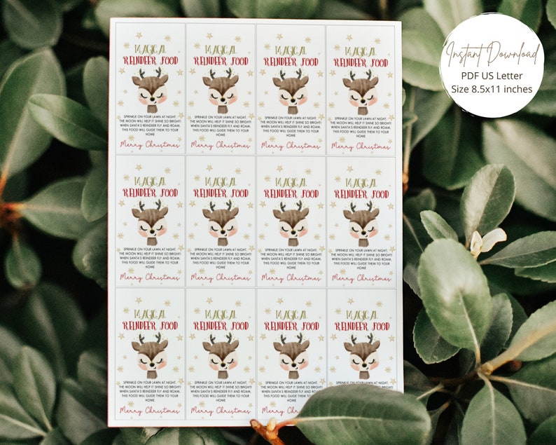 Magical Reindeer Food Tag, Christmas Reindeer Food Tags, Christmas Eve ...