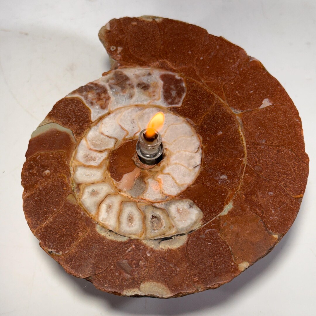 Rock Candle - Ammonite Fossil | Oil Candle, Nautilus Fossil, Stone Oil ...