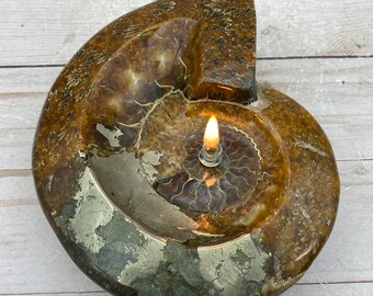 Ammonite Oil Lamp - Etsy