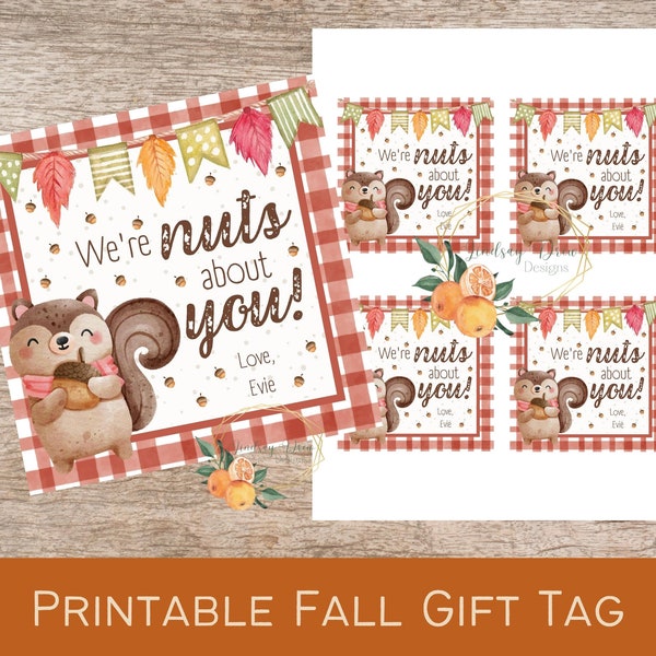 Were Nuts About You Stickers - Etsy