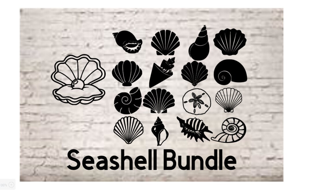 Seashell Bundle Svg, File for Cricut, Seashell Silhouette, Seashell ...