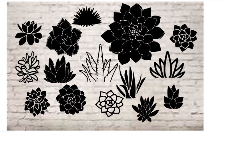 Succulents Svg Bundle, Files for Cricut, Succulent Silhouette ...