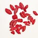 Goji Berry Seeds - Etsy