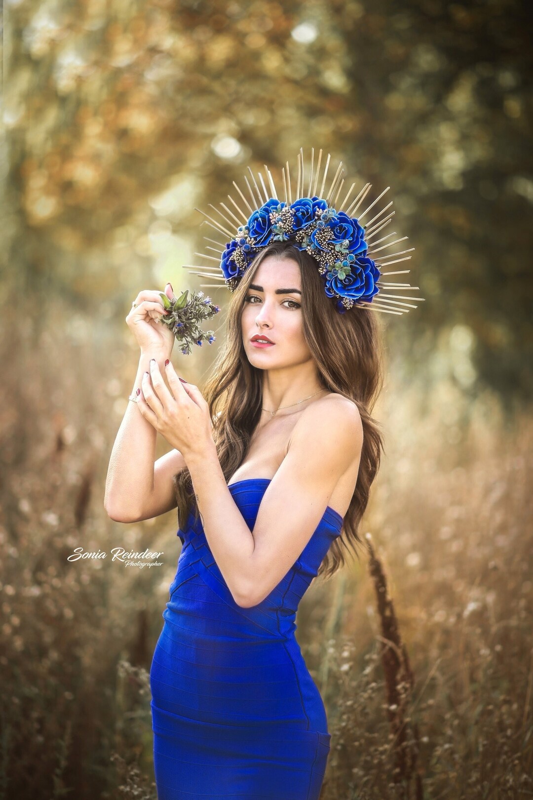 Halo Crown, Queen Blue Roses Crown, Hallo Gold Crown, Rose Blue Halo ...