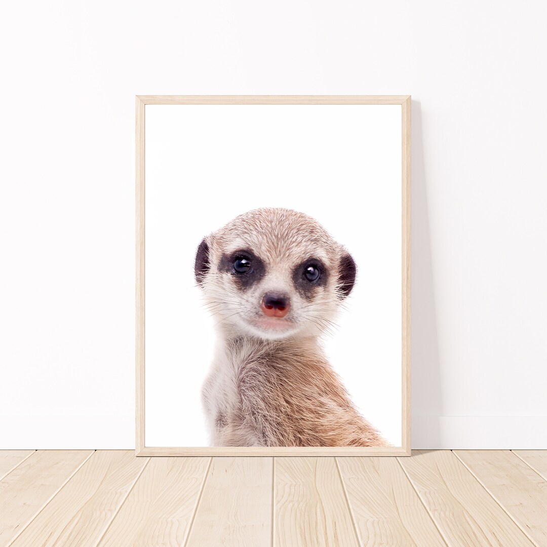 Meerkat Print - Nursery Wall Art - Printable Wall Art - Digital ...