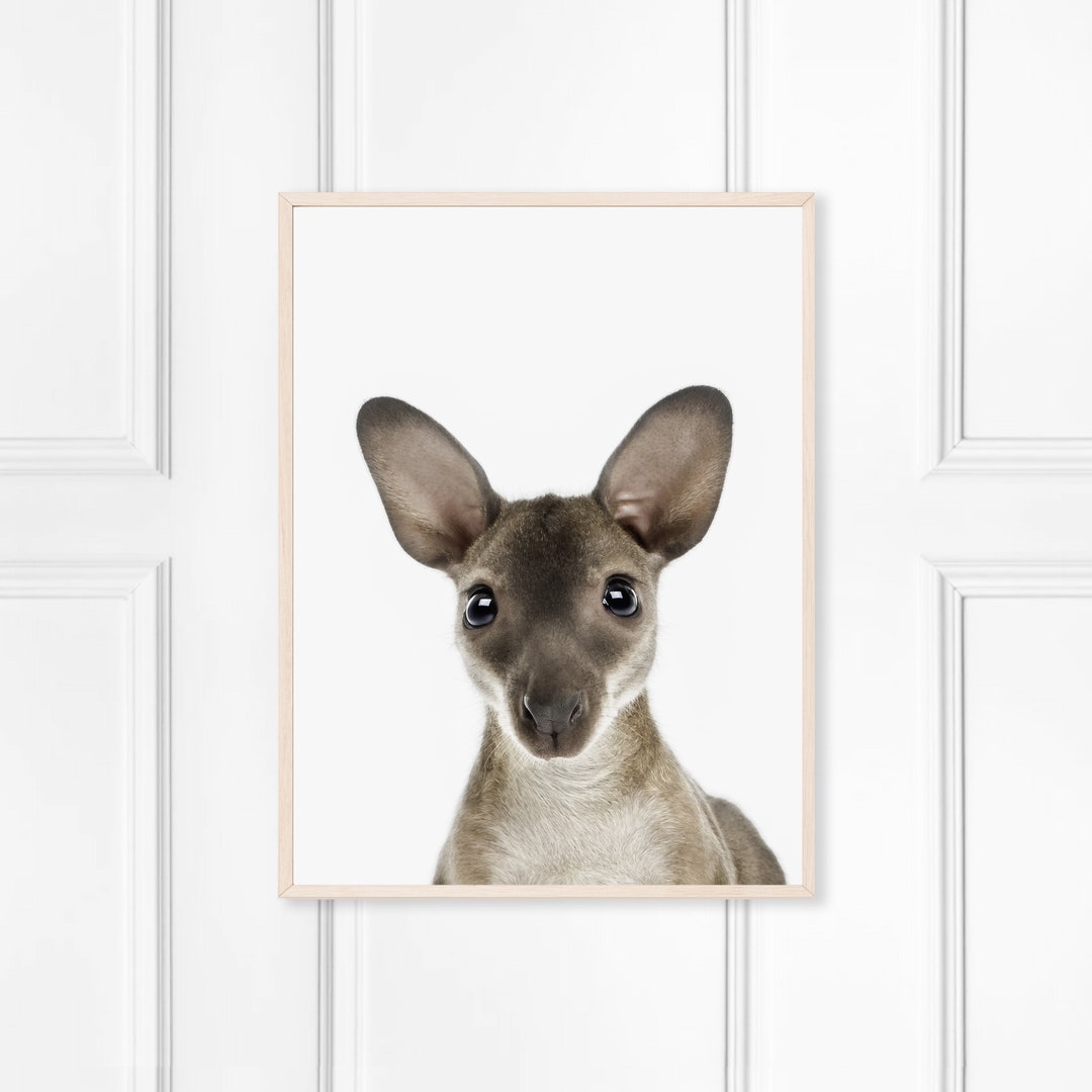 Wallaby Print Nursery Wall Art Printable Wall Art - Etsy