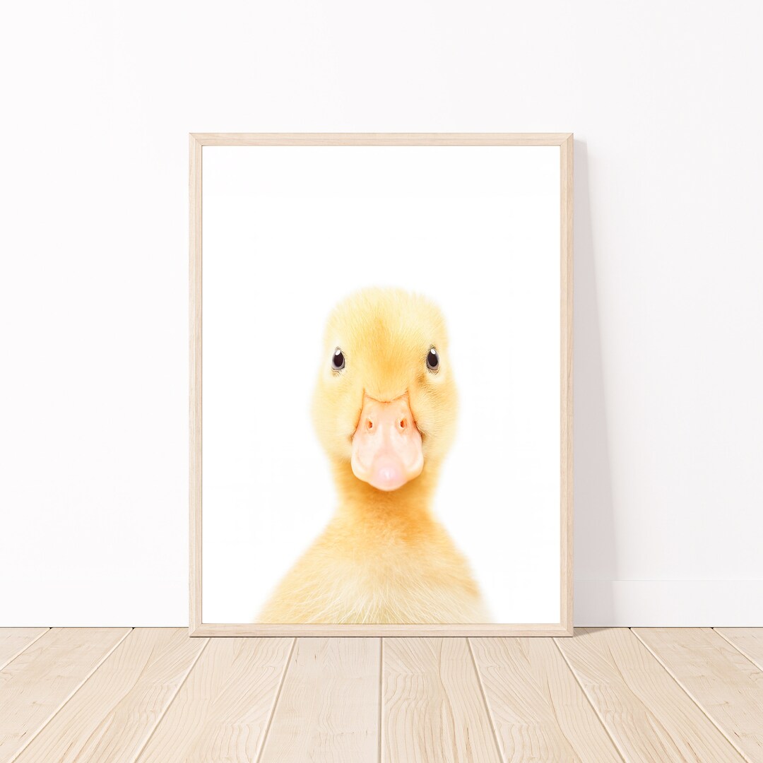 Duckling Print - Nursery Wall Art - Nursery Shelf Decor - Printable ...