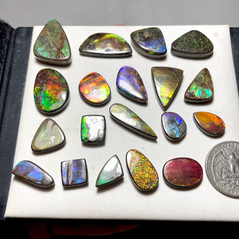 AAA+ Quality Ammolite Cabochons for Every Occasion - Etsy