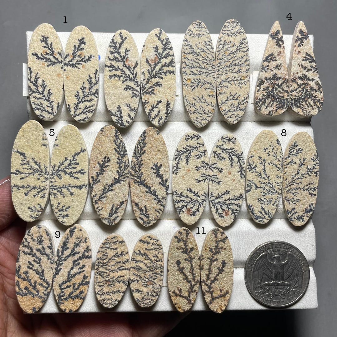 Germany Dendritic Psilomelane Limestone Pair Cabochon: Natural Gemstone ...