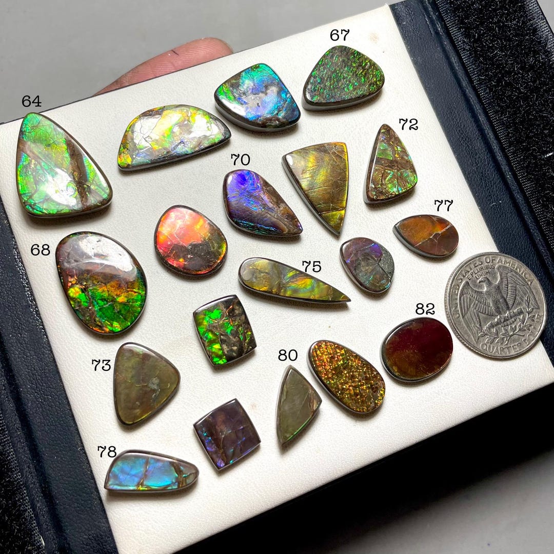 AAA+ Quality Ammolite Cabochons for Every Occasion - Etsy