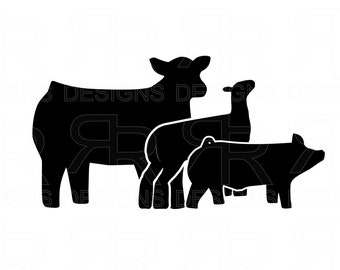Show cattle decal | Etsy