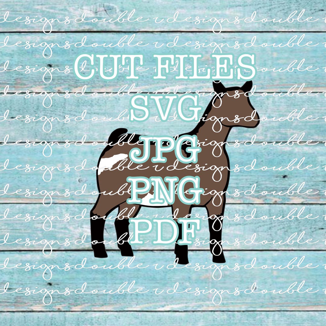 Myotonic Doe File Fainting Goat, Myotonic Show Goat Files for ...