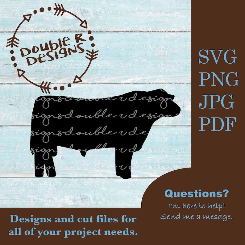 Angus Bull Show Cattle File, Ranch SVG, Cricut, Silhouette (PDF, JPG ...