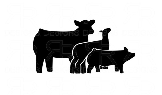 Market Show Group Clipart Show Lamb Show Pig Show Calf | Etsy