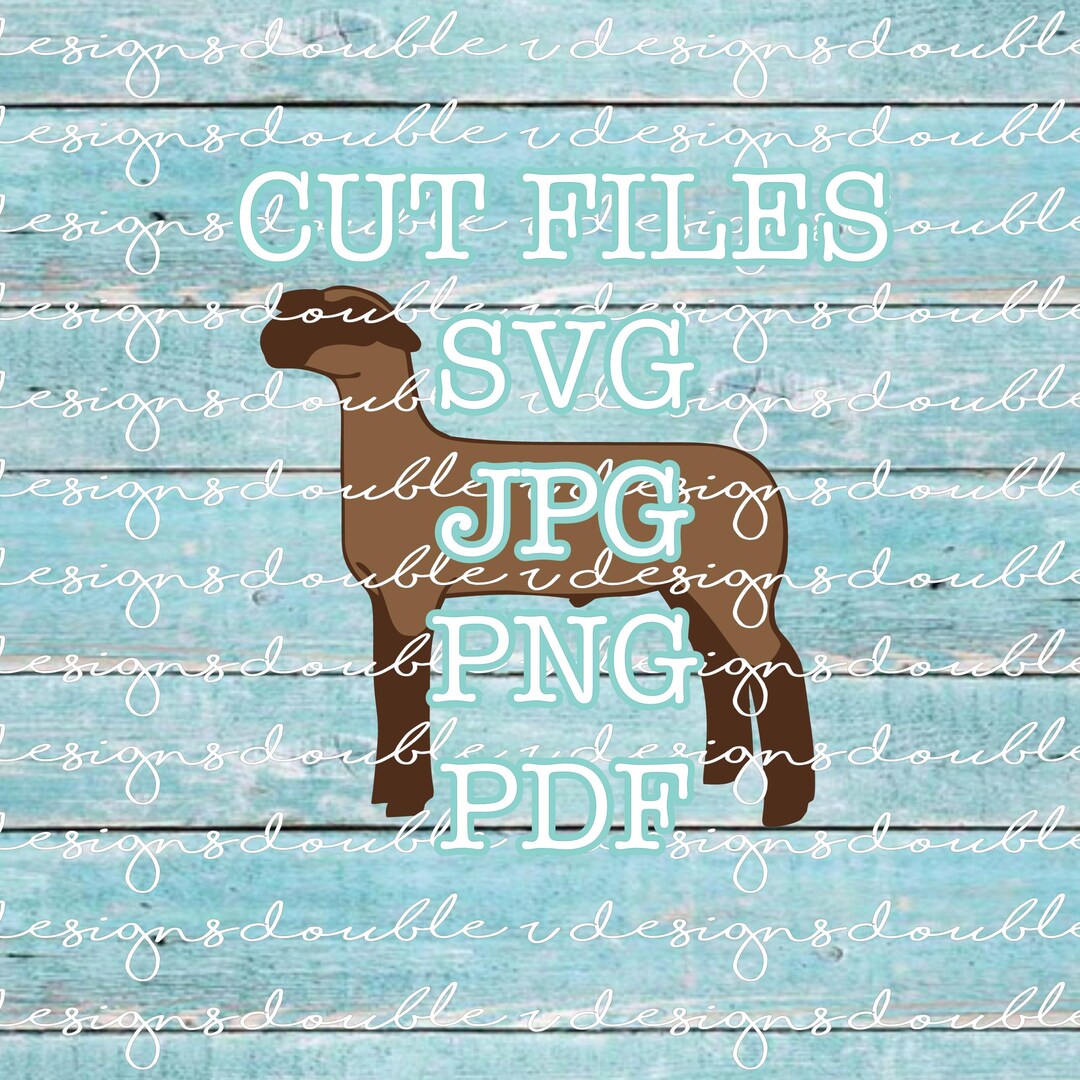 Tunis Wether Lamb, Show Lamb, FFA, 4h, File for Small Business and ...