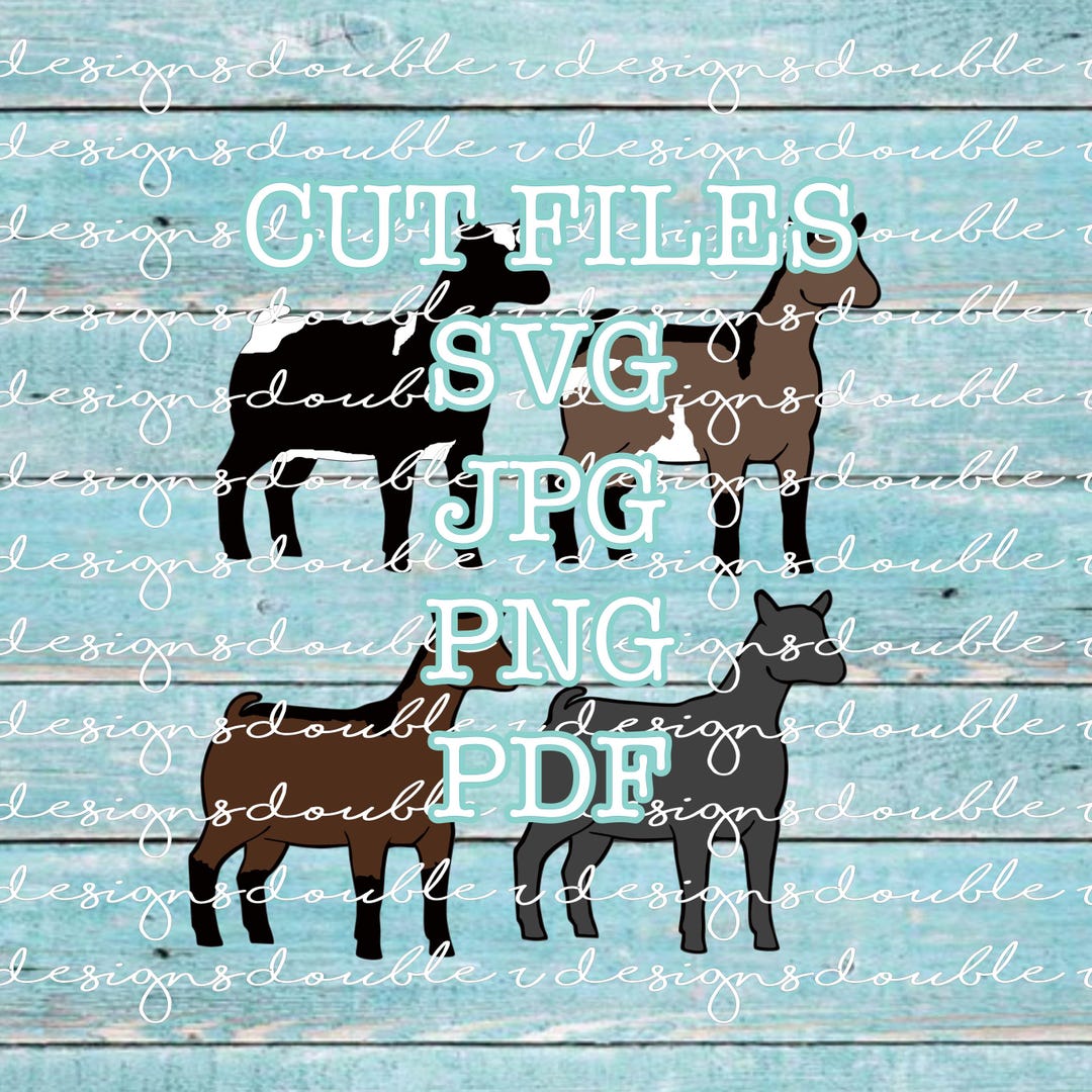Myotonic Doe 4 PK Files - Fainting Goat, Myotonic Show Goat Files for ...