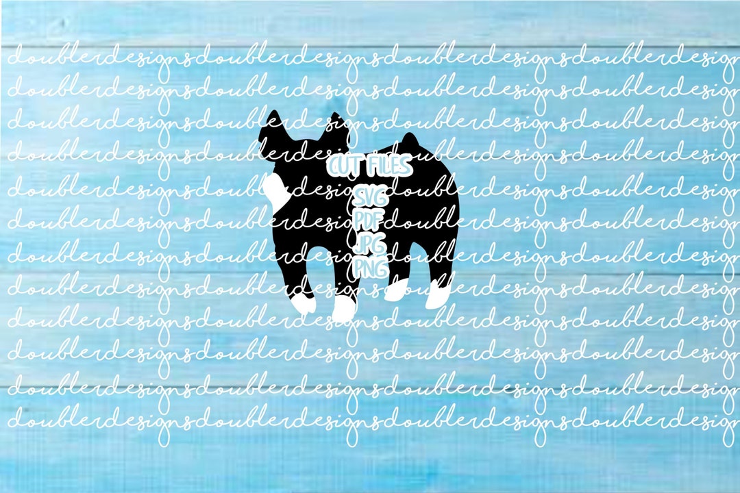 Berkshire Show Pig Cut File: SVG, PDF, JPG (digital Download) - Etsy