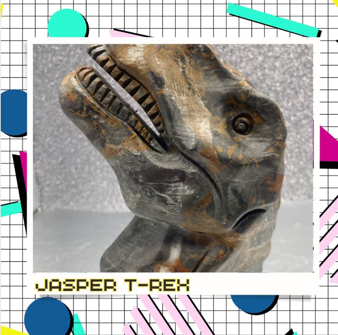 6in Jasper T-rex Crystal Dinosaur Head Picture Jasper - Etsy