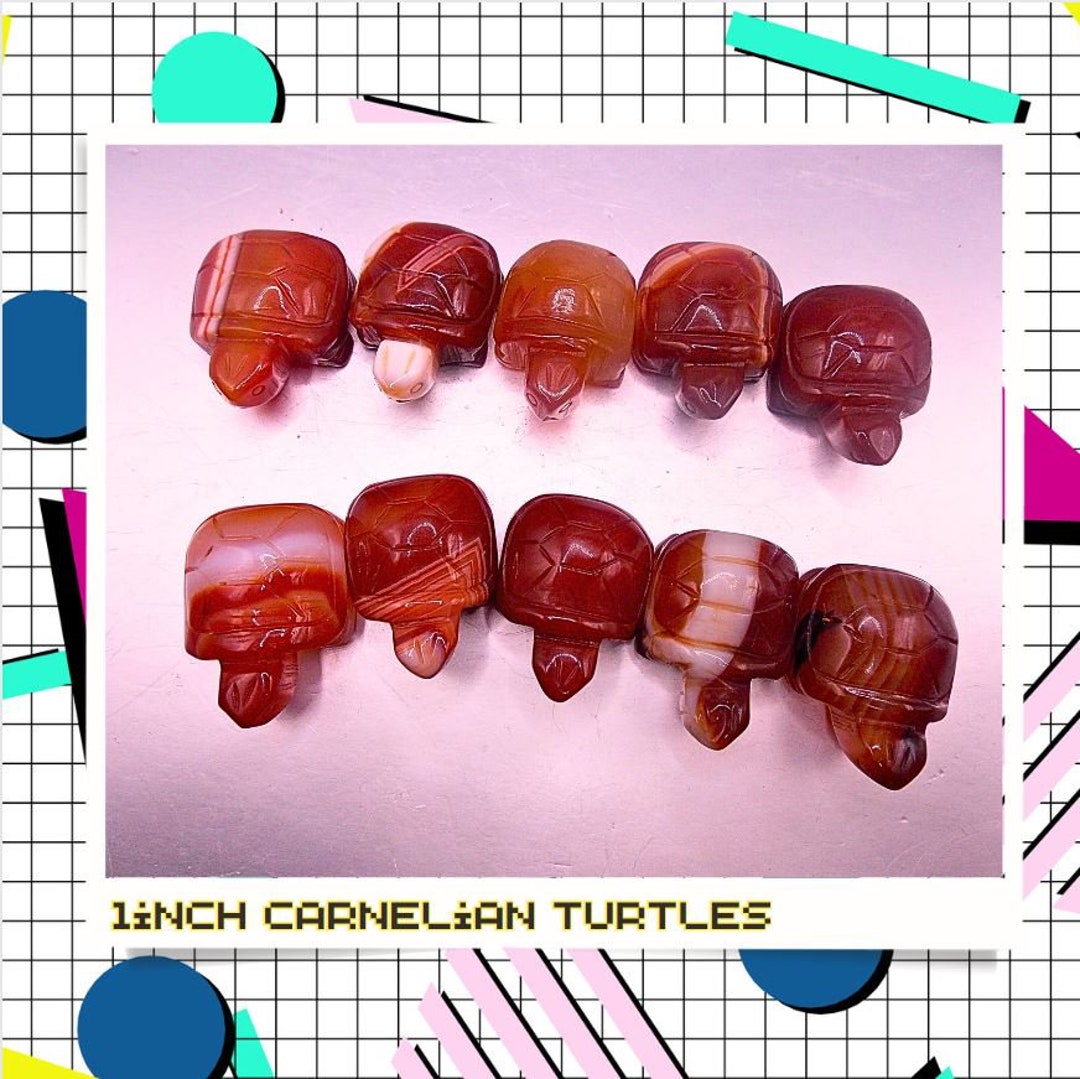 1.5in Carnelian Turtle| Crystal Turtle Carving| Enhance Creativity ...