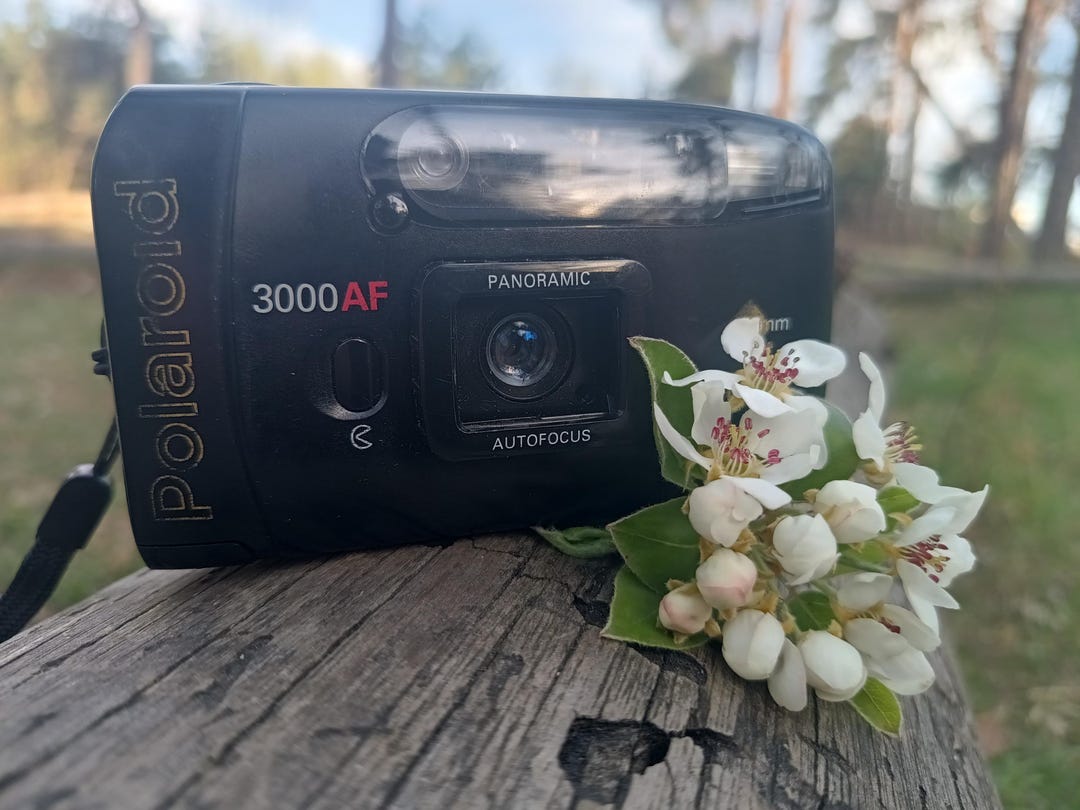 Polaroid 3000 AF Panoramic Fully Automatic Point and Shoot Camera for ...