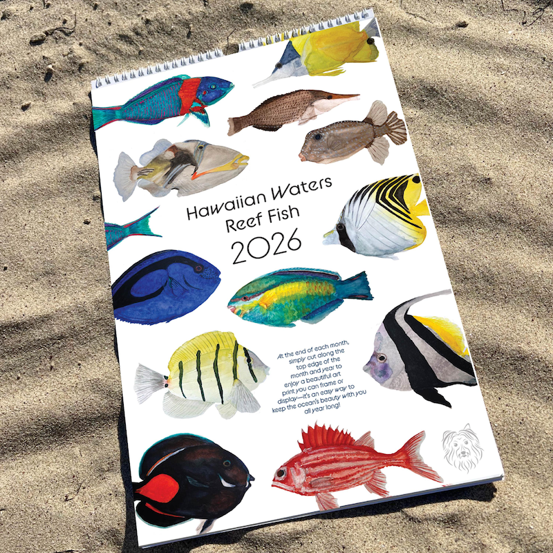 Fish 2026 Calendar - Etsy